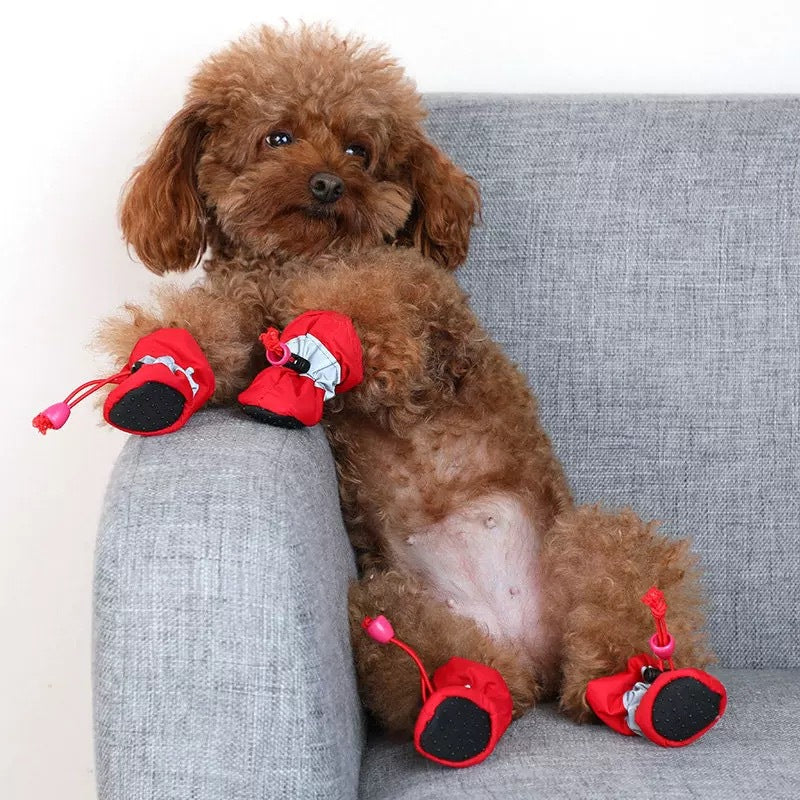 Elegant Dog boots for winter – ELZALINE